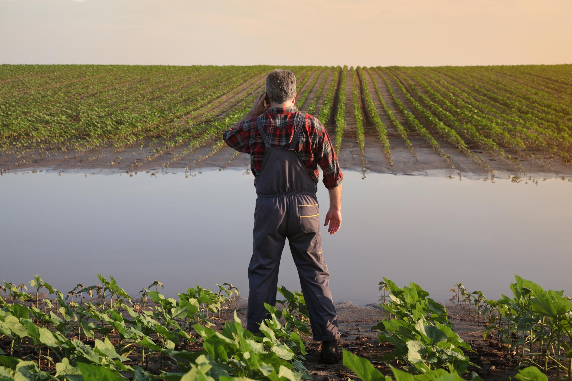 The Top 5 Questions to Ask Your Crop Insurance Provider